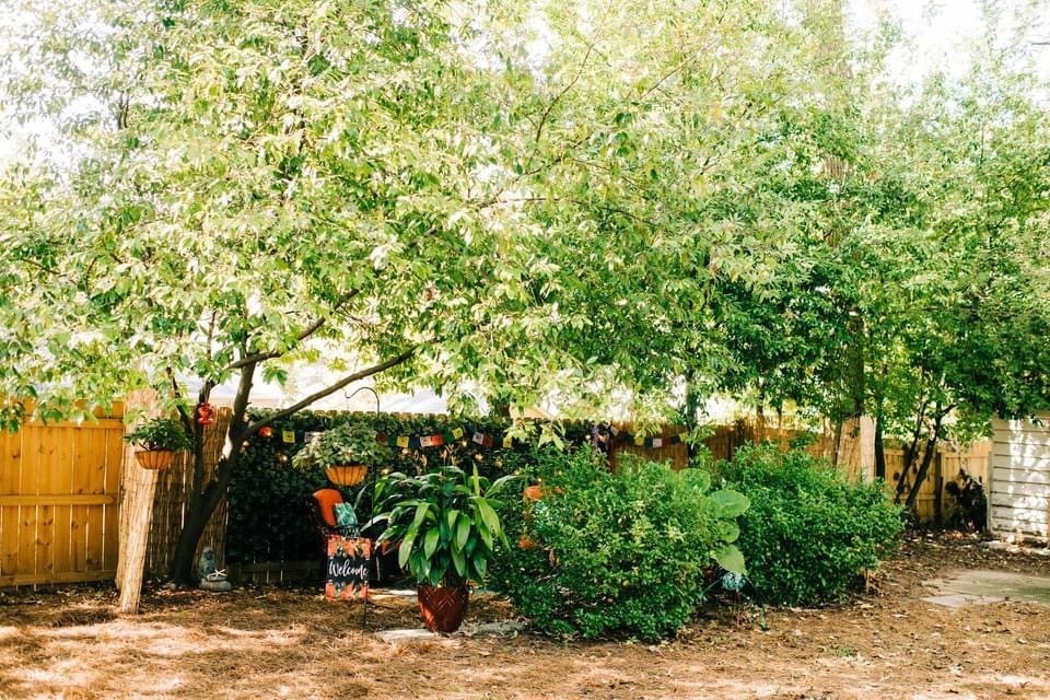 Elham Bagheri, Psychologist, Chamblee, GA, 30341 | Psychology Today