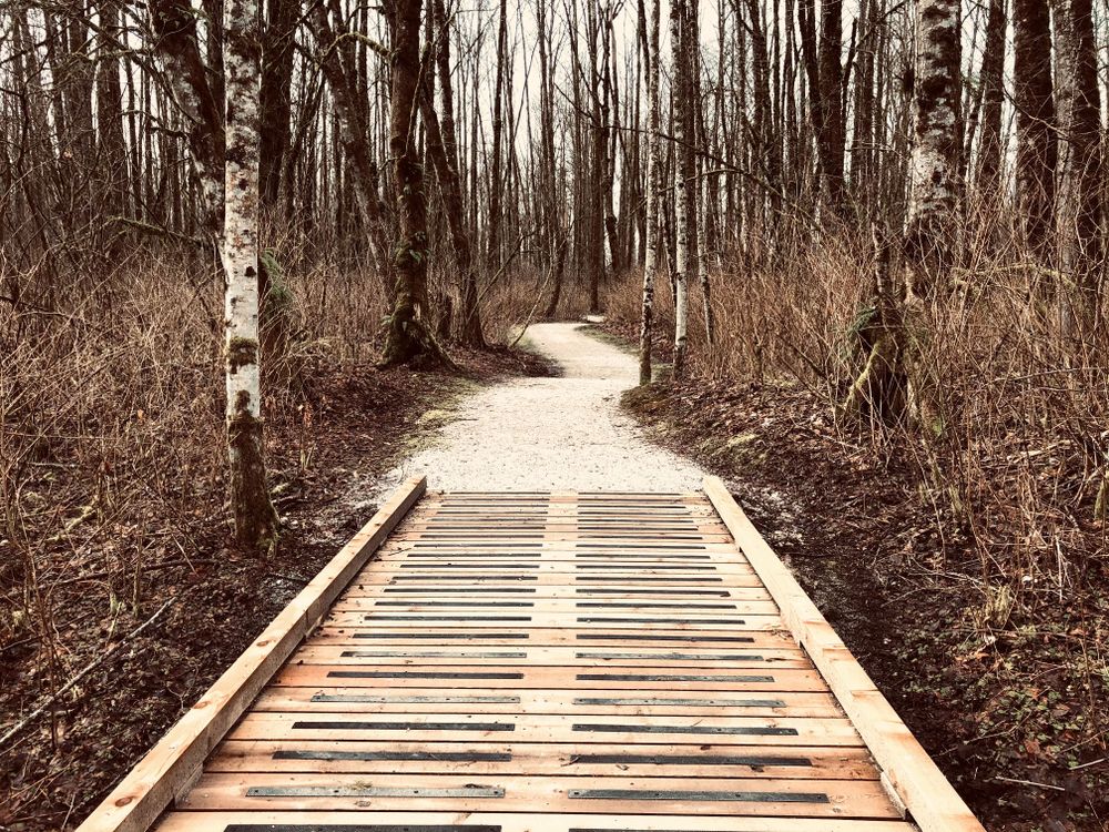 Hayley Ecotalk-Outdoor Counselling, Counsellor, Langley, BC, V1M ...