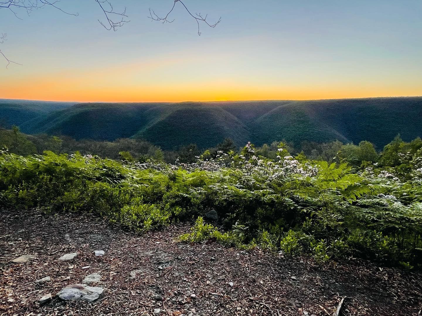 Nicole Benedict, Art Therapist, Rochester, NY, 14618 | Psychology Today