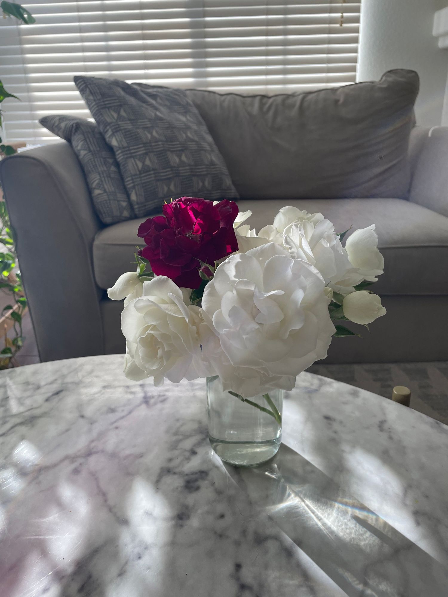 Lucy Han, Clinical Social Work/Therapist, Los Angeles, CA, 90034 ...