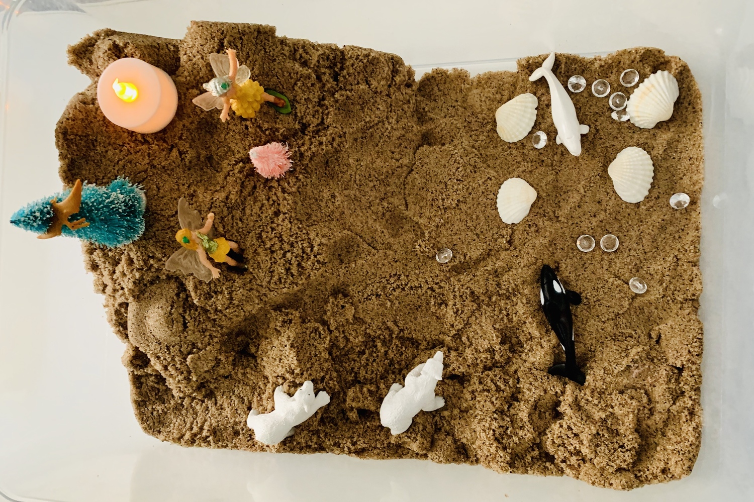 Brandi Allen, Counsellor, Victoria, BC, V9A | Psychology Today