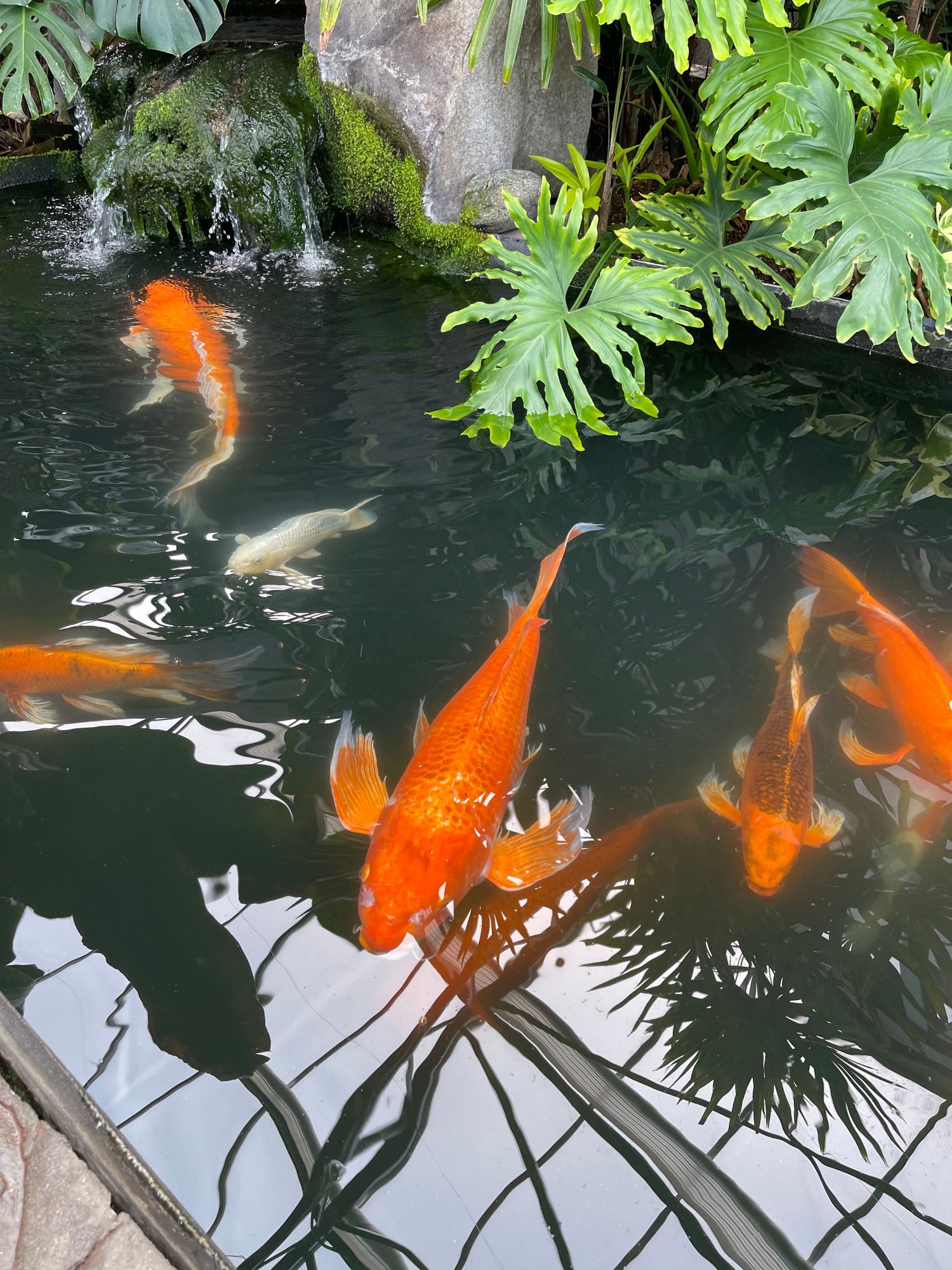 Audrey Tice, Pre-Licensed Professional, Seattle, WA, 98122 | Psychology ...