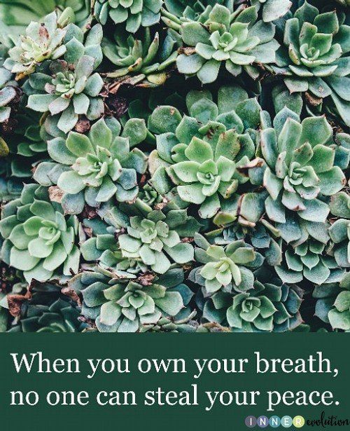 Stephanie Modler, Clinical Social Work/Therapist, Frederick, MD, 21701 ...