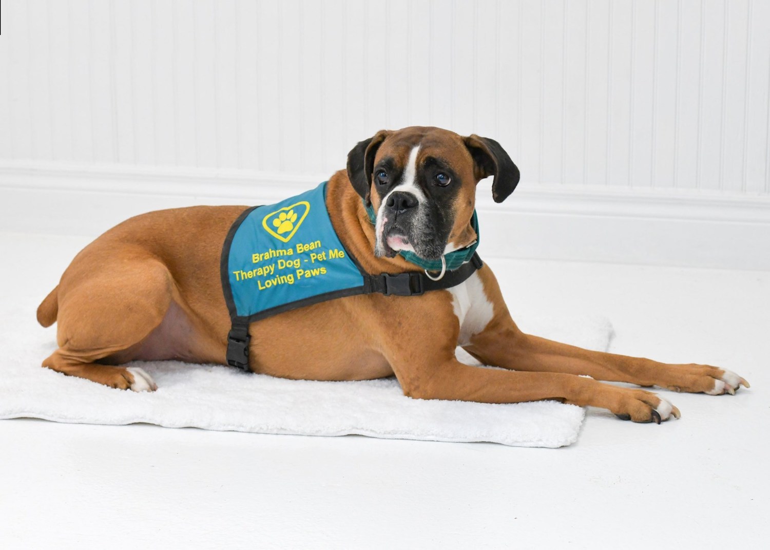 Raven Rajani, Clinical Social Work/Therapist, Lawrence, KS, 66044 ...