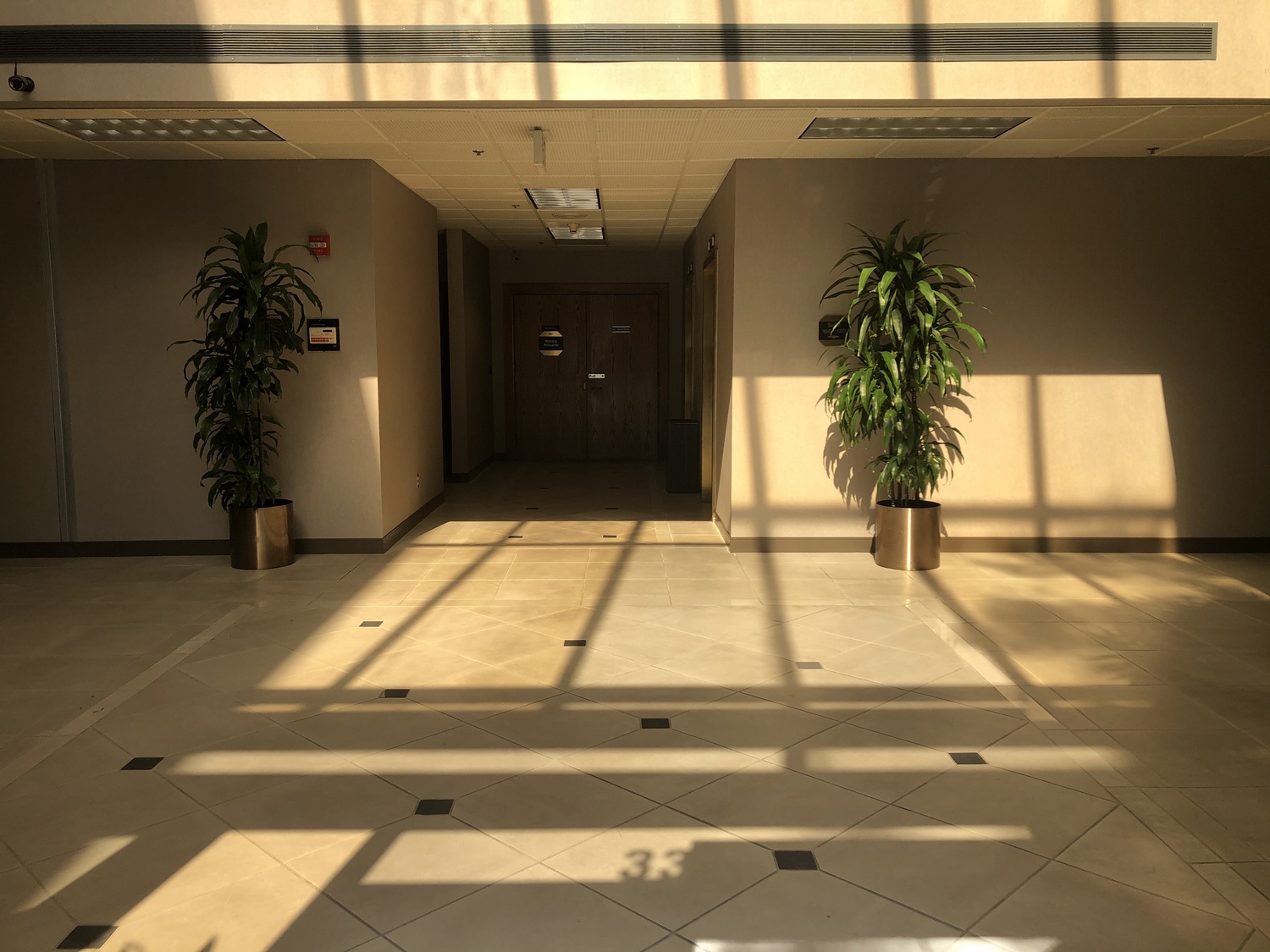 Sharon Krieger, Psychiatric Nurse Practitioner, Palm Harbor, FL, 34684 ...