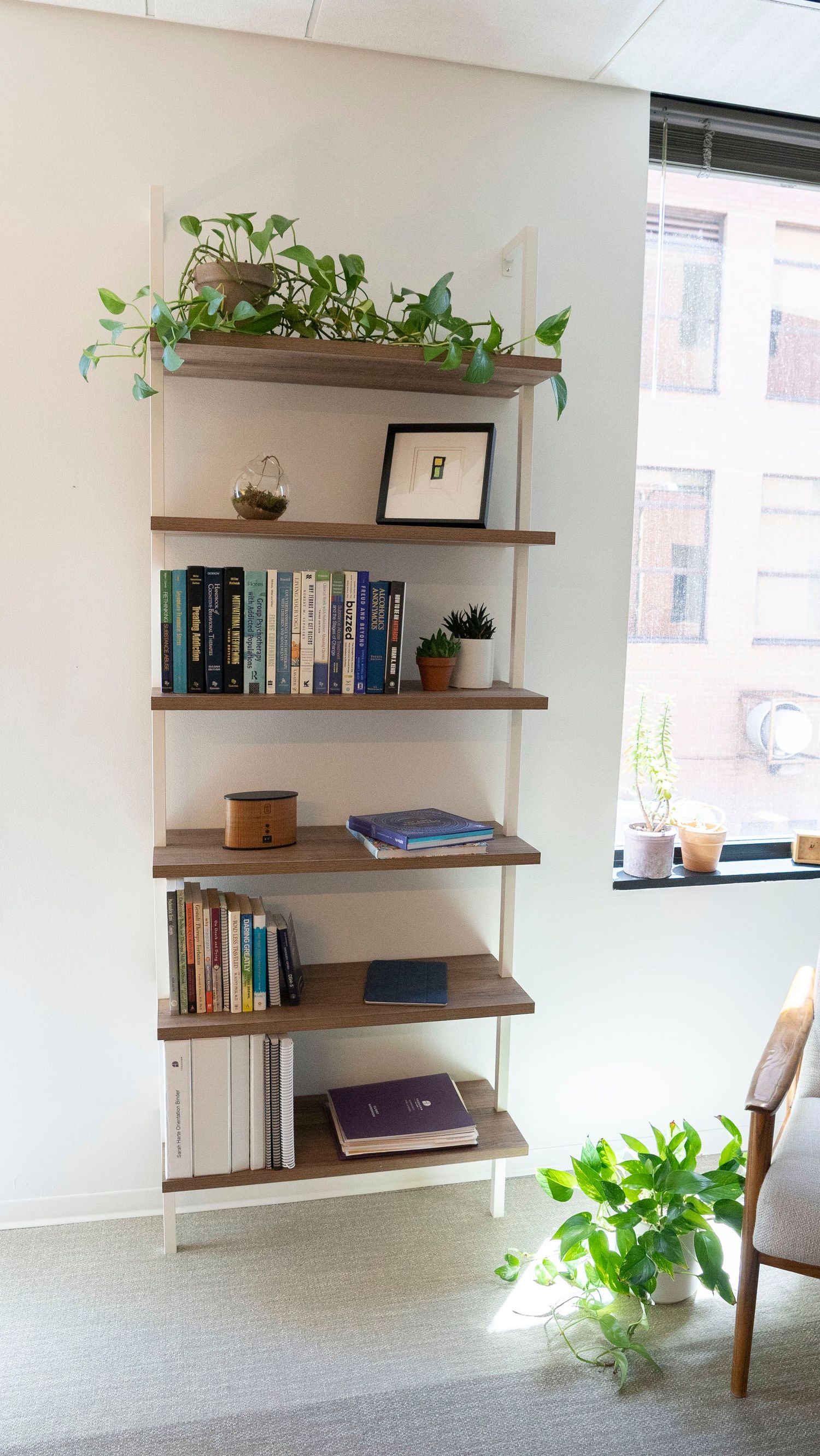 The Dorm - Young Adult IOP Treatment Community, Treatment Center ...