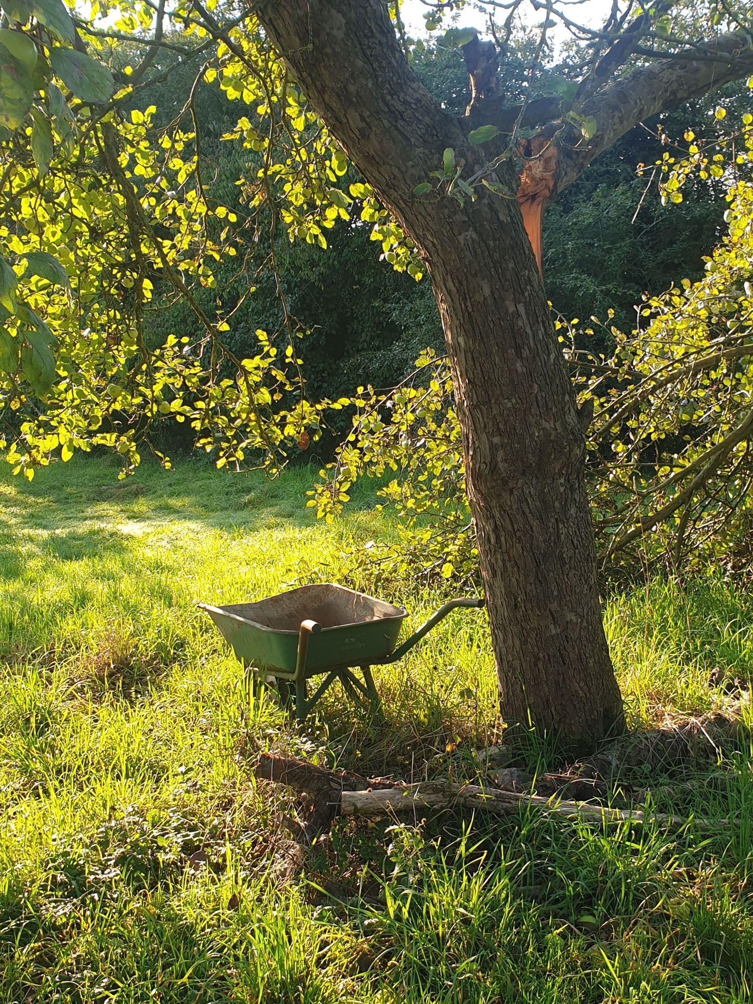 Emma Madeley, Counsellor, Hereford, HR2 | Psychology Today