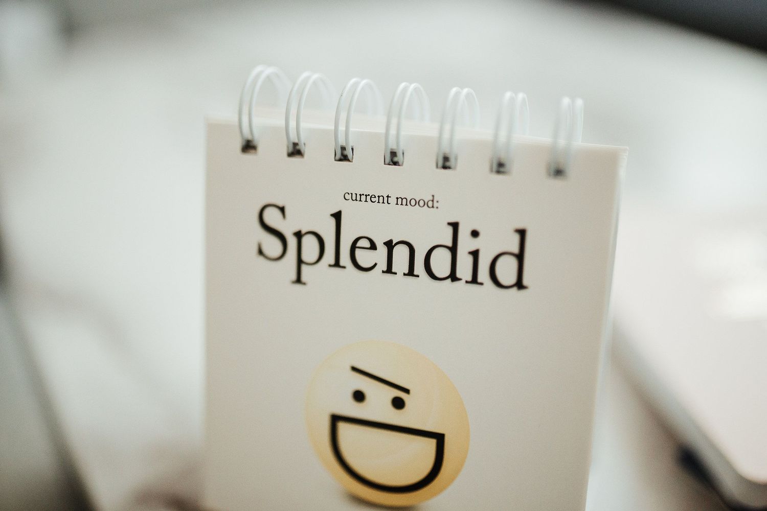 Gabrielle Swanson, LCSW, Clinical Social Work/Therapist, Saint ...