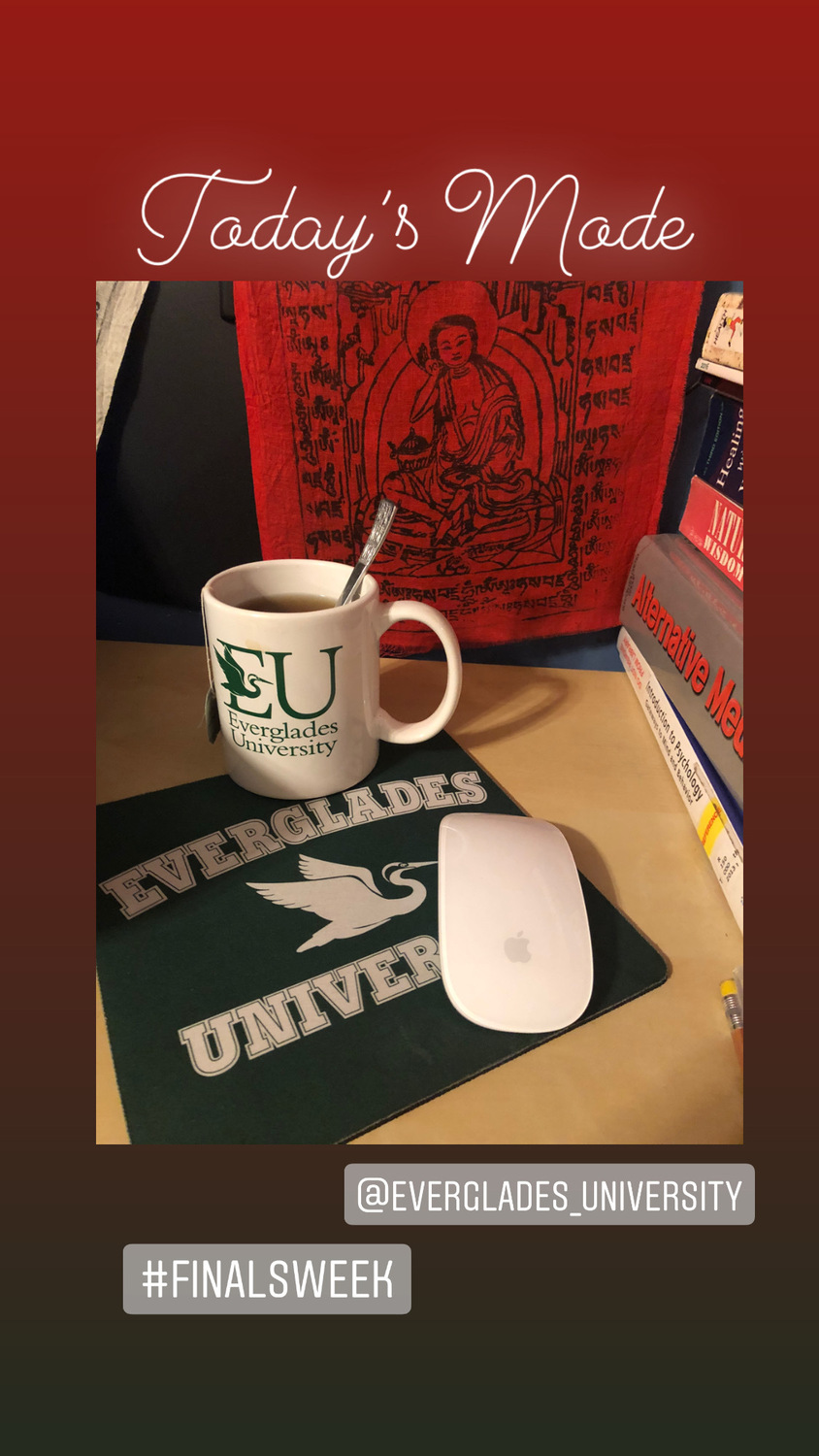 Elif Raynor, Counselor, Coral Springs, FL, 33065 | Psychology Today