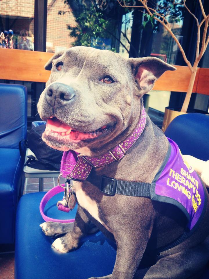 Raven Rajani, Clinical Social Work/Therapist, Lawrence, KS, 66044 ...