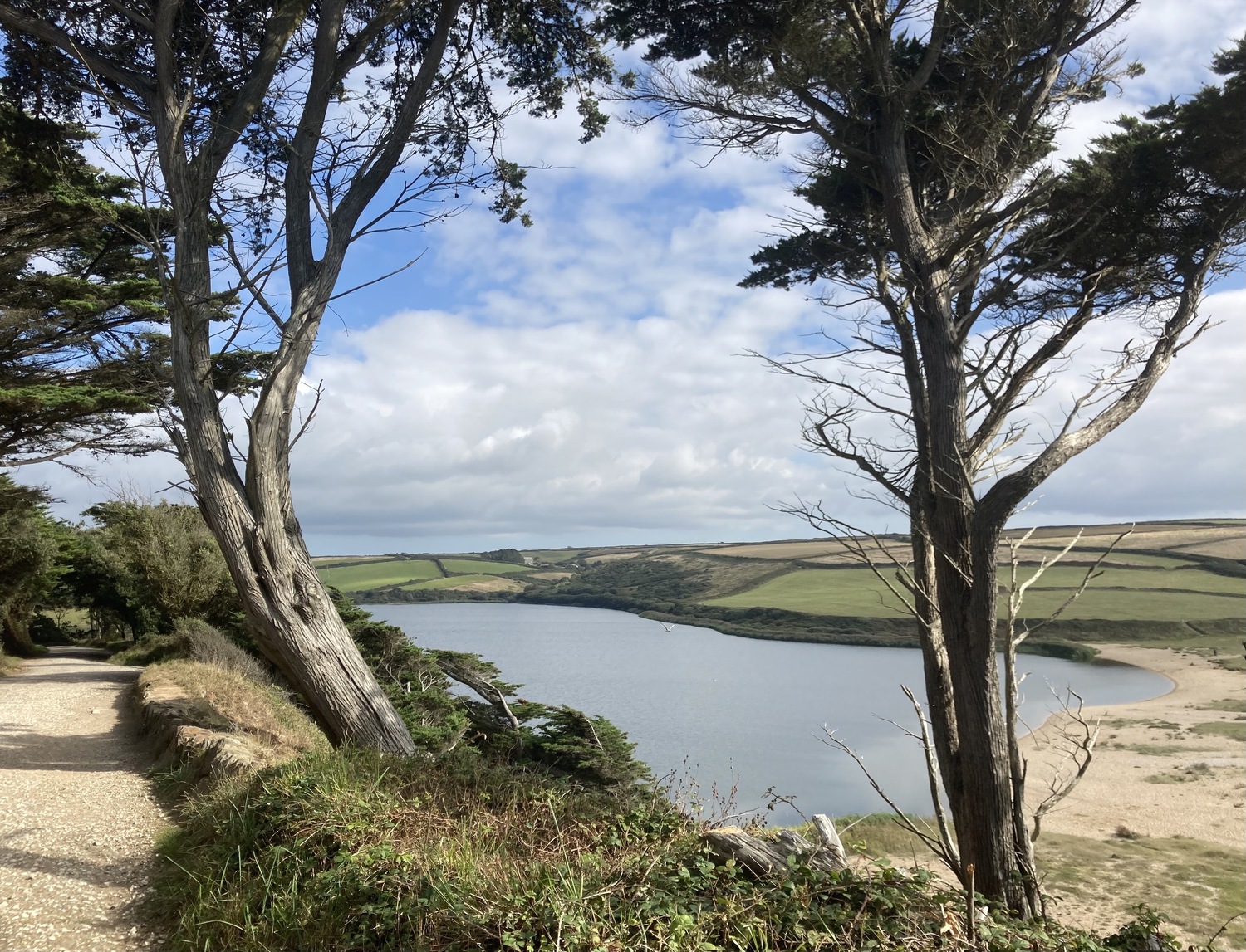 Tess Franklin, Counsellor, Halstead, CO9 | Psychology Today