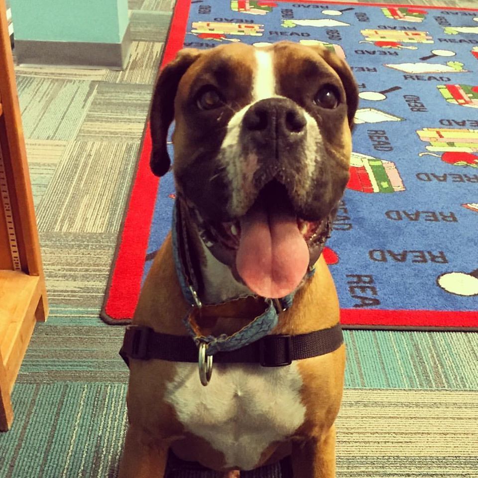 Raven Rajani, Clinical Social Work/Therapist, Lawrence, KS, 66044 ...