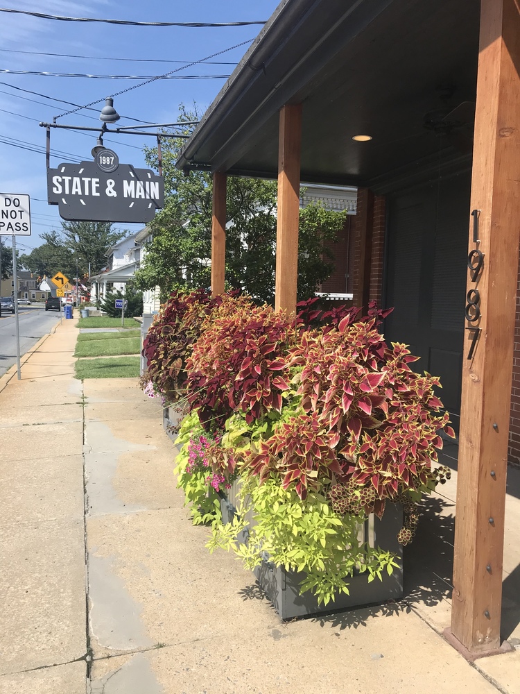 Becca King, Clinical Social Work/Therapist, East Petersburg, PA, 17520 ...