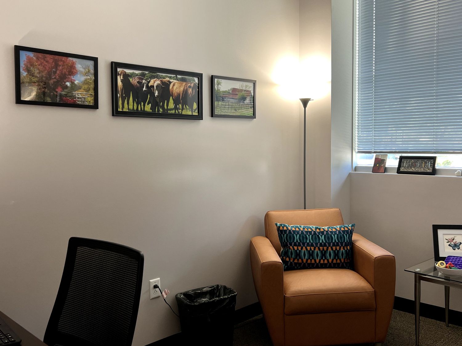 Amy Cole, M.S., LPC, Licensed Professional Counselor, Plano, TX, 75093 ...