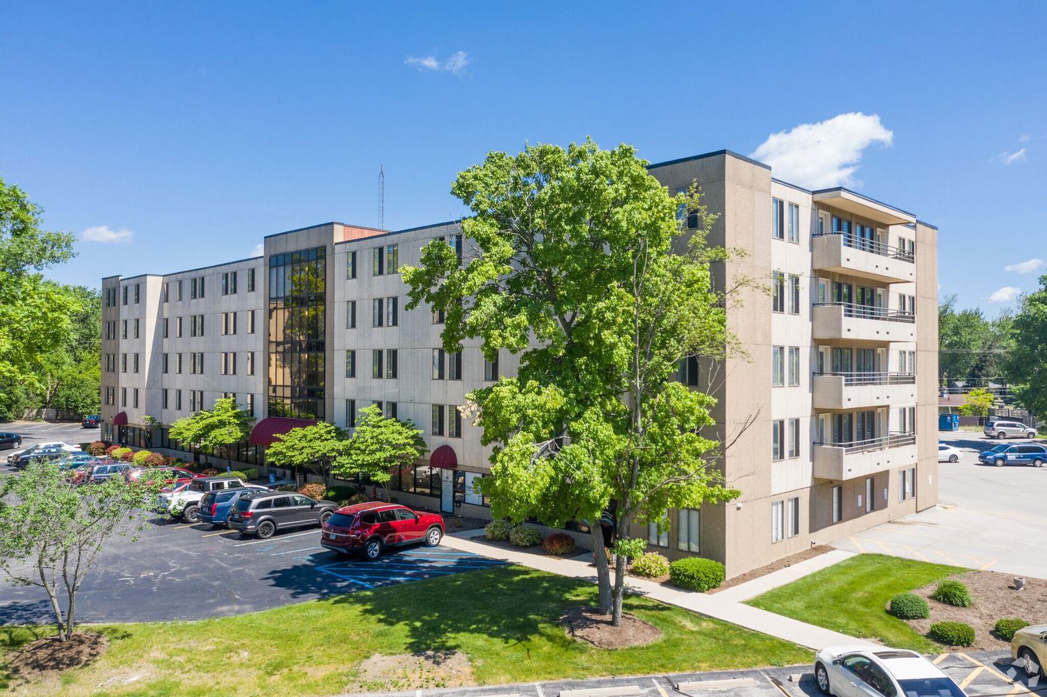 Emily Ellis, Licensed Professional Counselor, Toledo, OH, 43606 ...