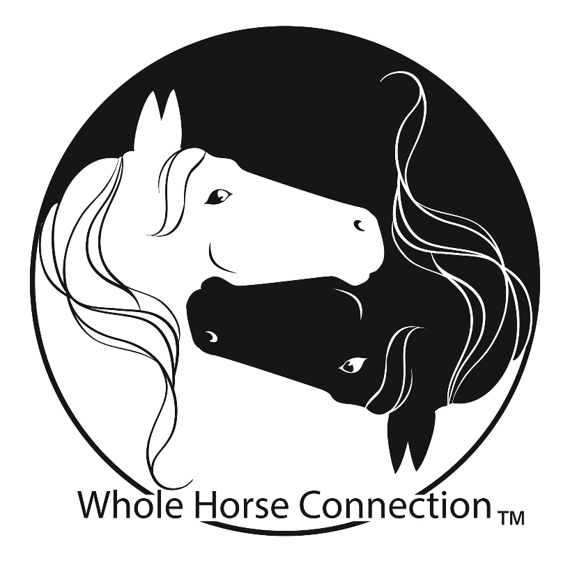 Christie Hebert Equine -Assisted Psychotherapy, Counselor, Gold Canyon ...