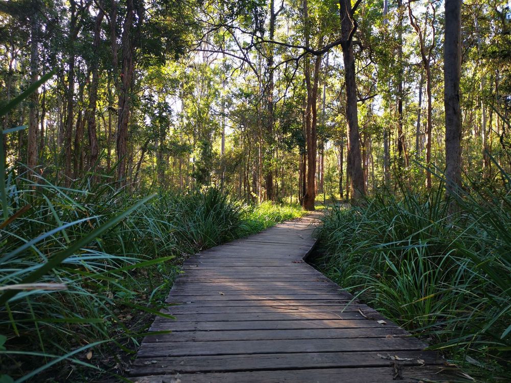 Sam Howard-van Beek, Clinical Social Work/Therapist, Enoggera, QLD ...