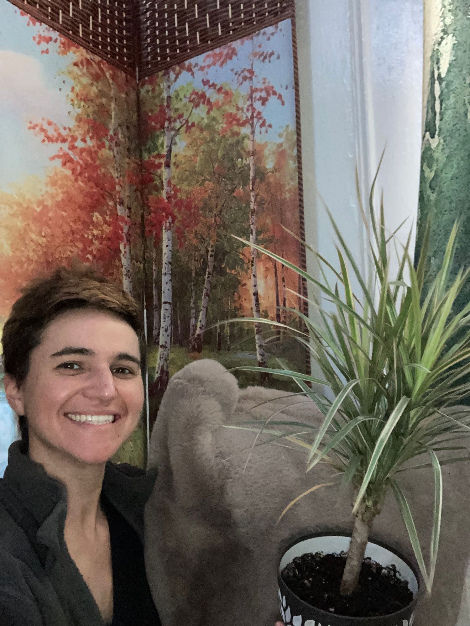 Jennie Kogan, Clinical Social Work/Therapist, White Plains, NY, 10606 ...