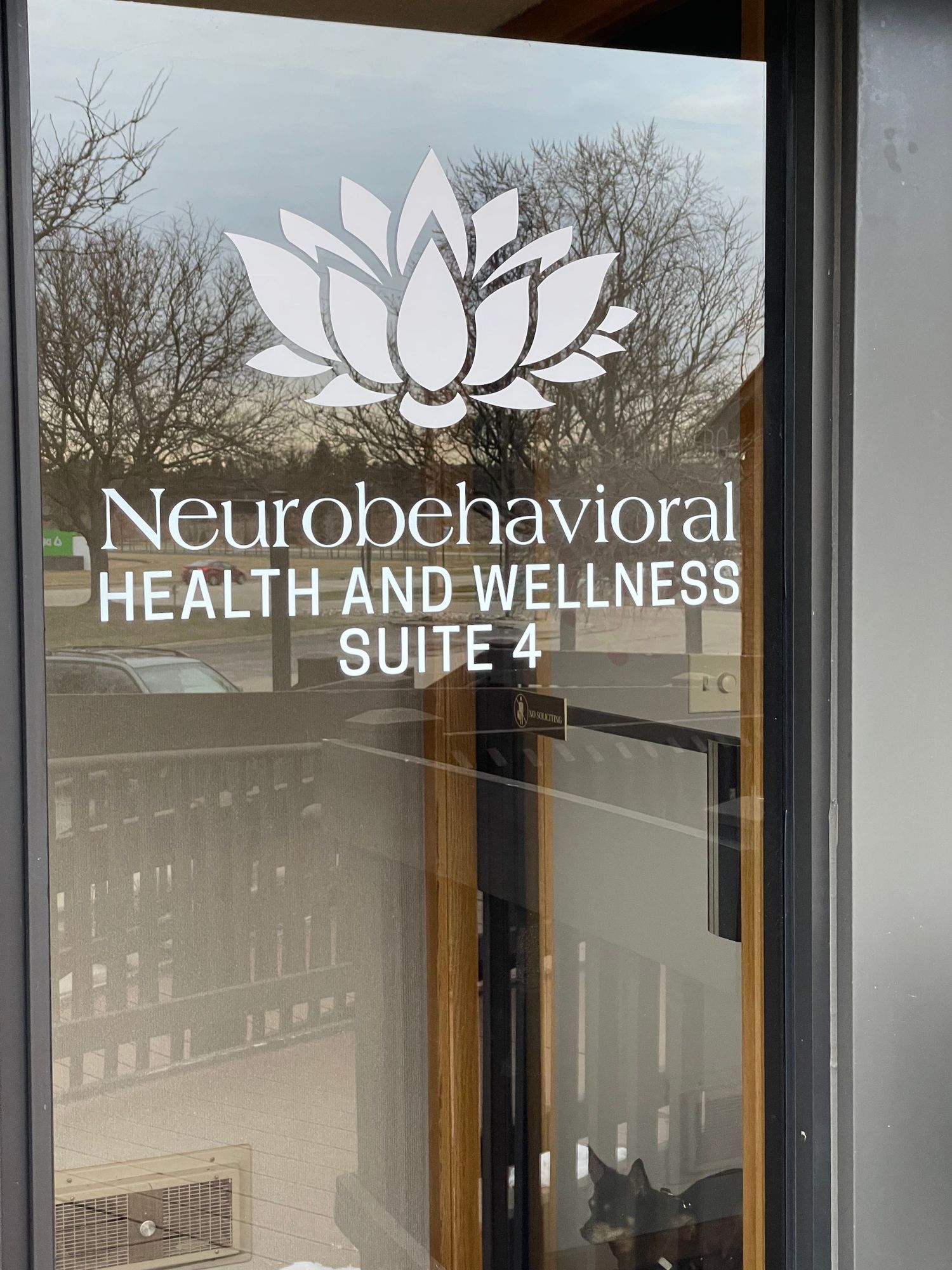 Neurobehavioral Health and Wellness, Psychiatric Nurse Practitioner ...