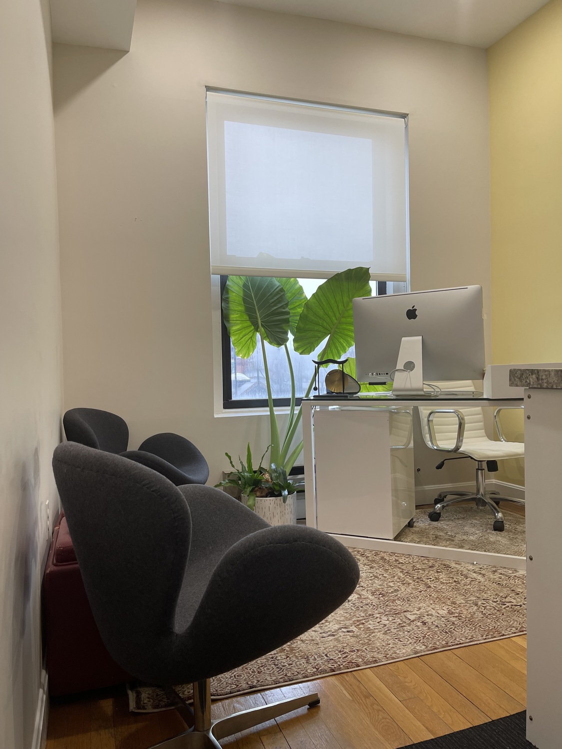 Carly Rando, Psychiatric Nurse Practitioner, Boston, MA, 02115 ...