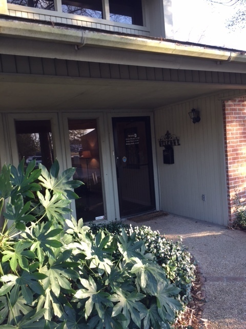 Jessica Rizzuto, Clinical Social Work/Therapist, Baton Rouge, LA, 70809 ...