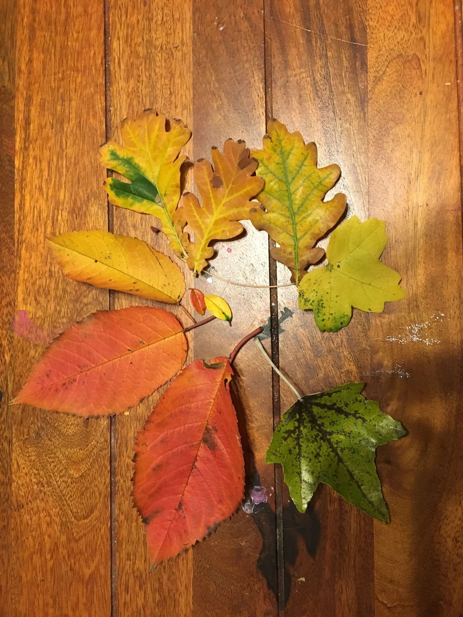 Nature Table Art Therapy, Psychotherapist, Ipswich, IP4 | Psychology Today