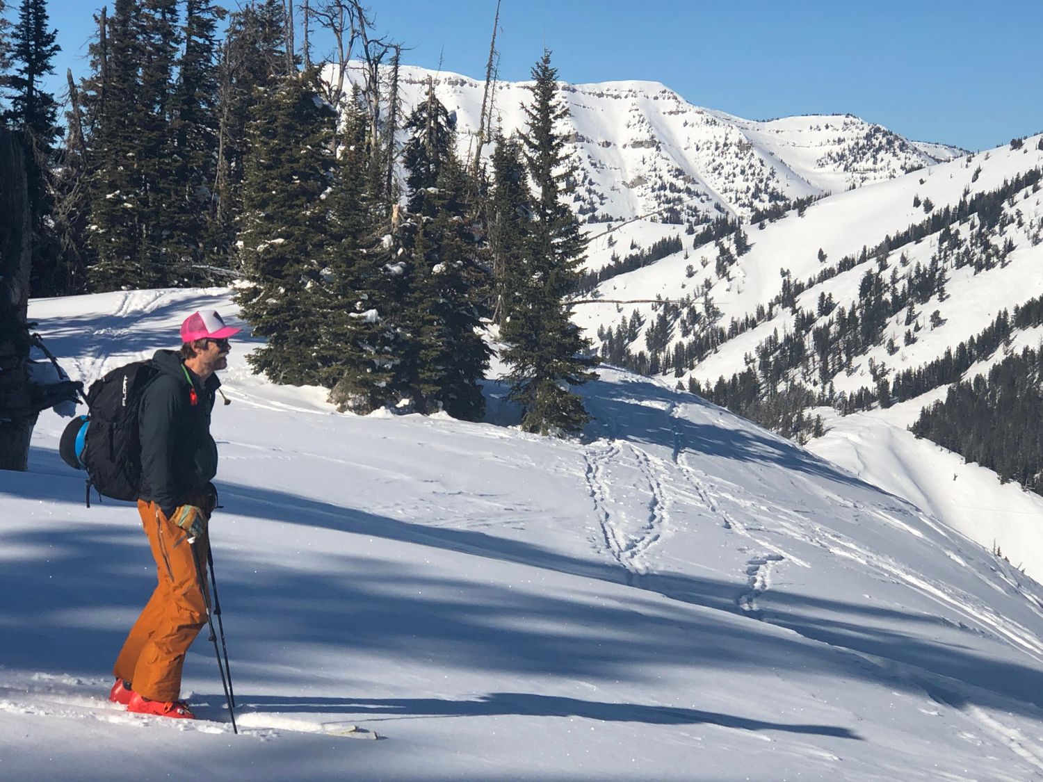 Dr. Jamie Scoular, PhD, Psychologist, Missoula, MT, 59802 | Psychology ...