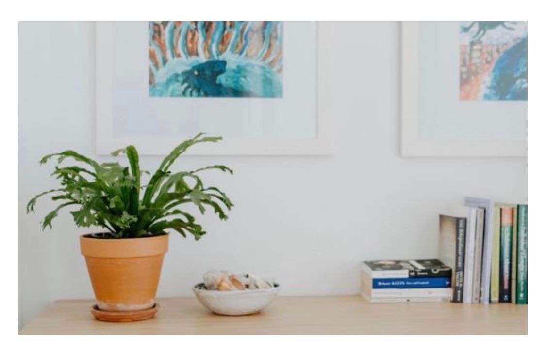 Jamilla Johnson, Psychologist, Buderim, QLD, 4556 | Psychology Today