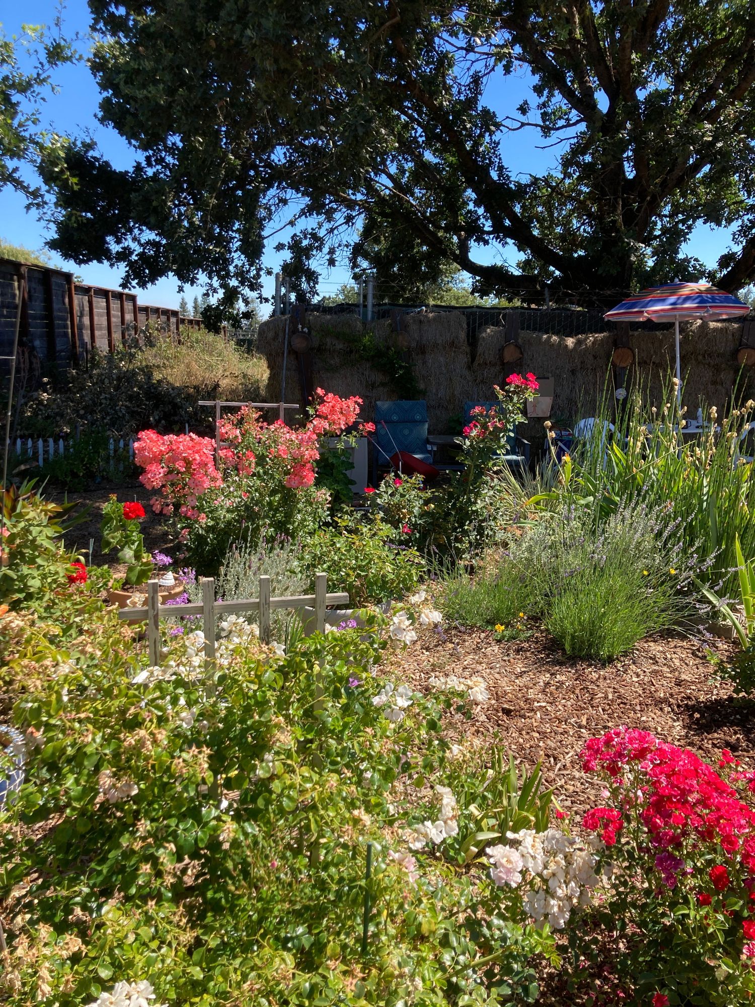 Jennifer Silverstein, Clinical Social Work/Therapist, Santa Rosa, CA ...