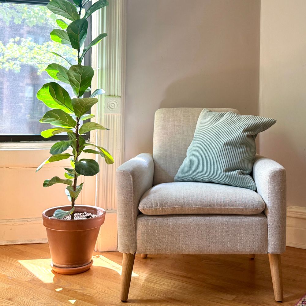 Amy McNamara, Pre-Licensed Professional, New York, NY, 10016 ...