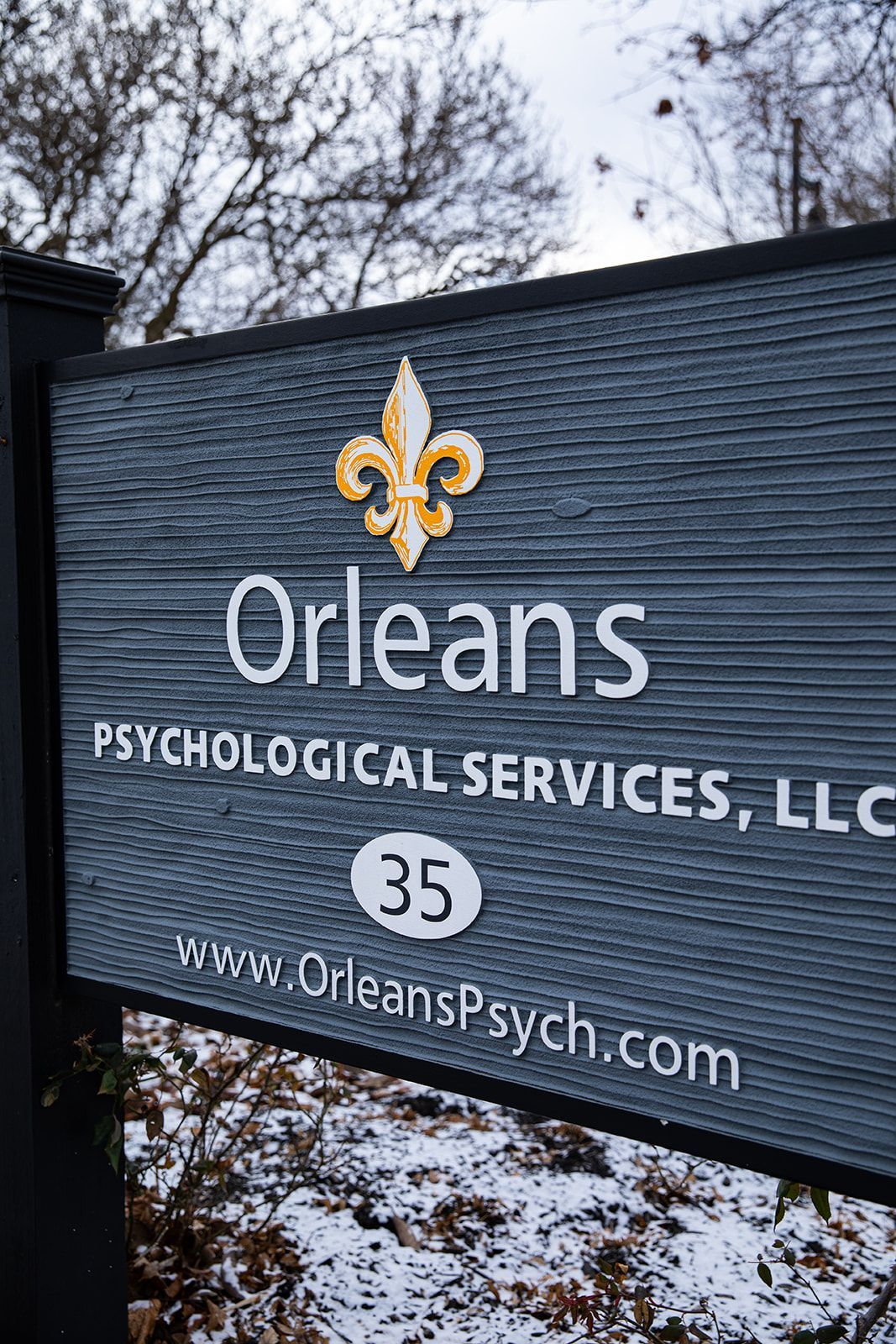 Ally Regan, Licensed Professional Counselor, Powell, OH, 43065 ...