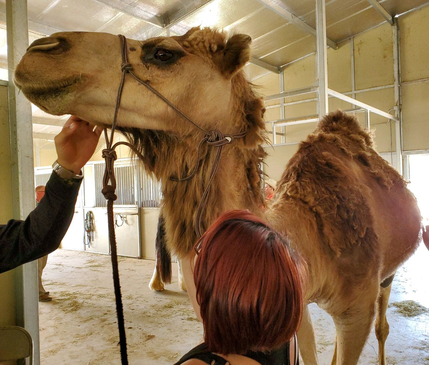 Touchstone Ranch Recovery Center, Treatment Center, Hico, TX, 76457 ...