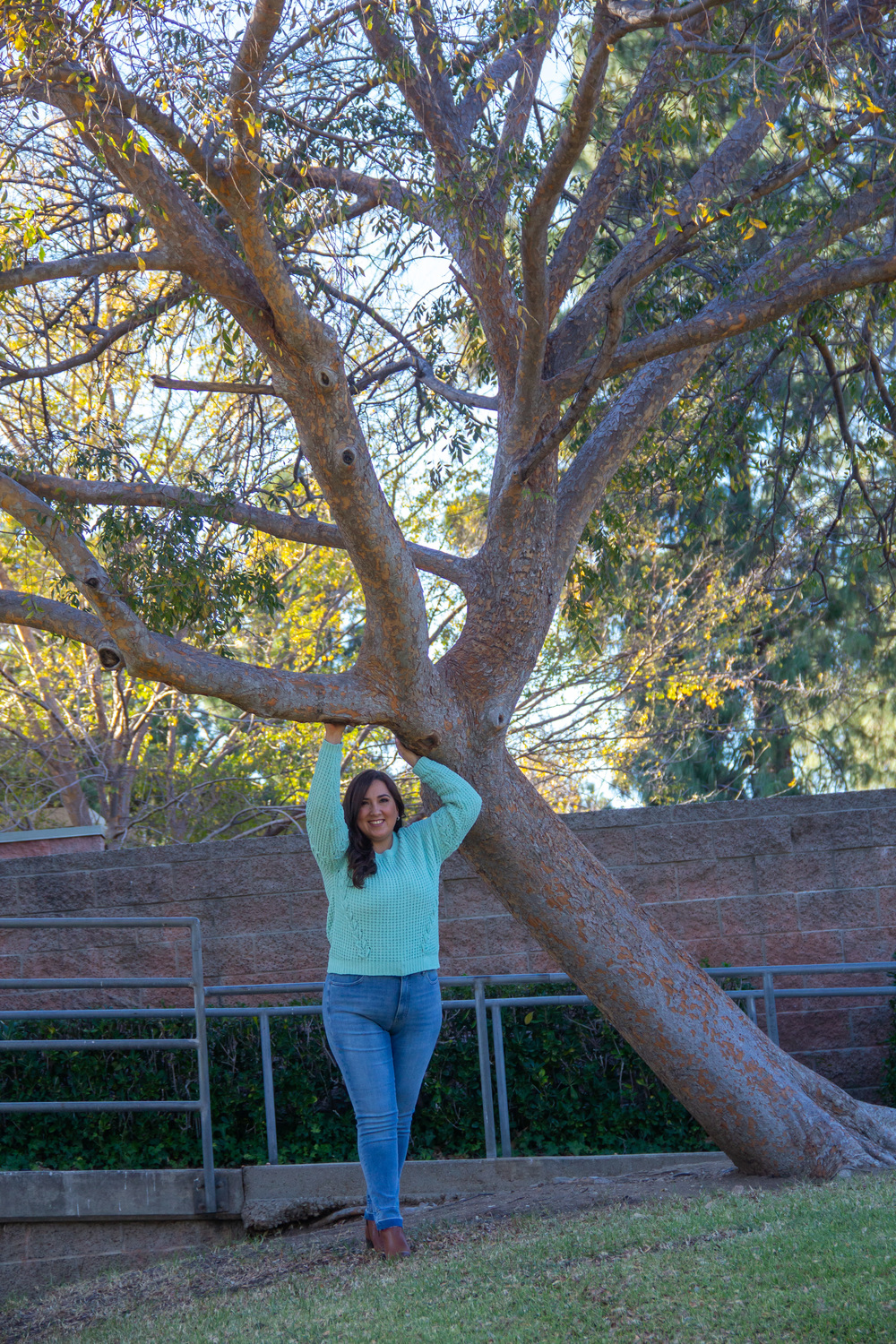 Nancy Rosas Therapy, Marriage & Family Therapist, Sylmar, CA, 91342 ...