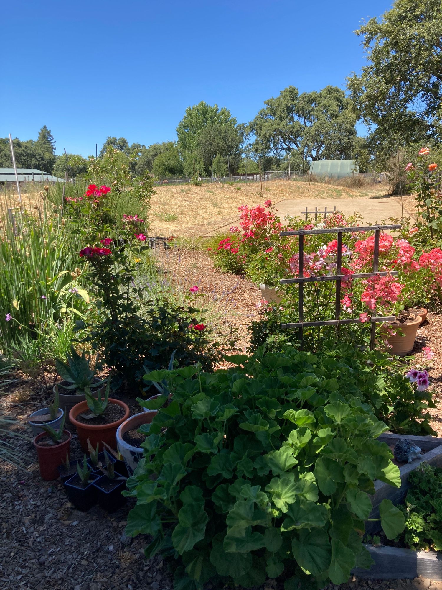 Jennifer Silverstein, Clinical Social Work/Therapist, Santa Rosa, CA ...