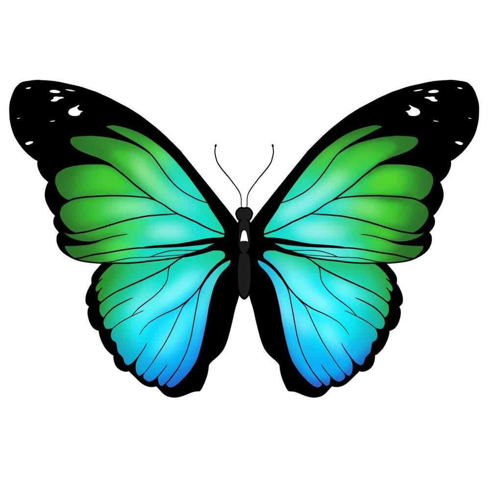 Suzanne Glover- To Become A Butterfly Psychotherapy And Counseling ...