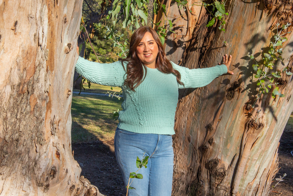 Nancy Rosas Therapy, Marriage & Family Therapist, Sylmar, CA, 91342 ...