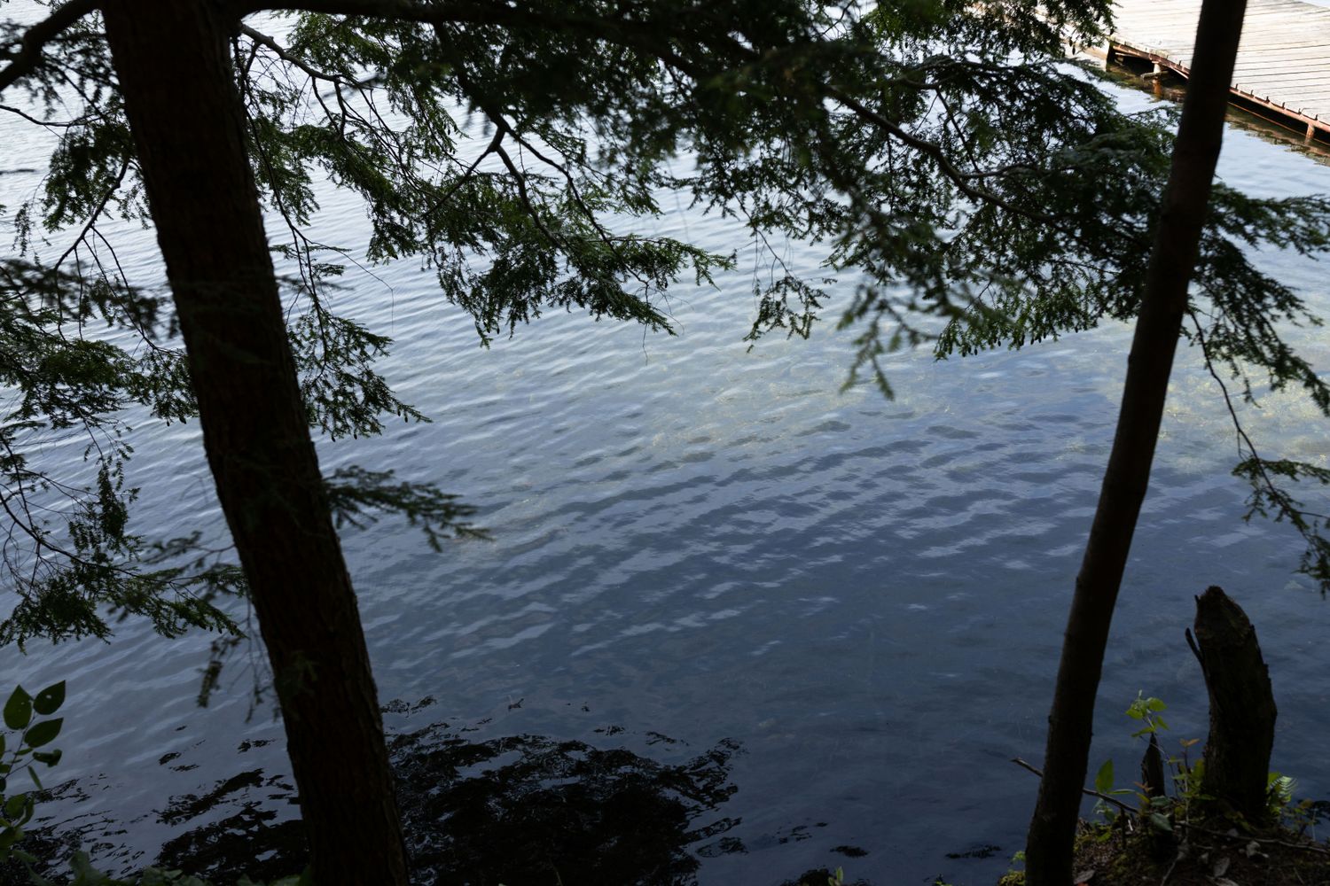 Spring Lake Ranch Therapeutic Community, Treatment Center ...