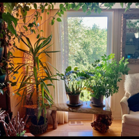 Jacob Pollack, Registered Social Worker, Ottawa, ON, K1R | Psychology Today