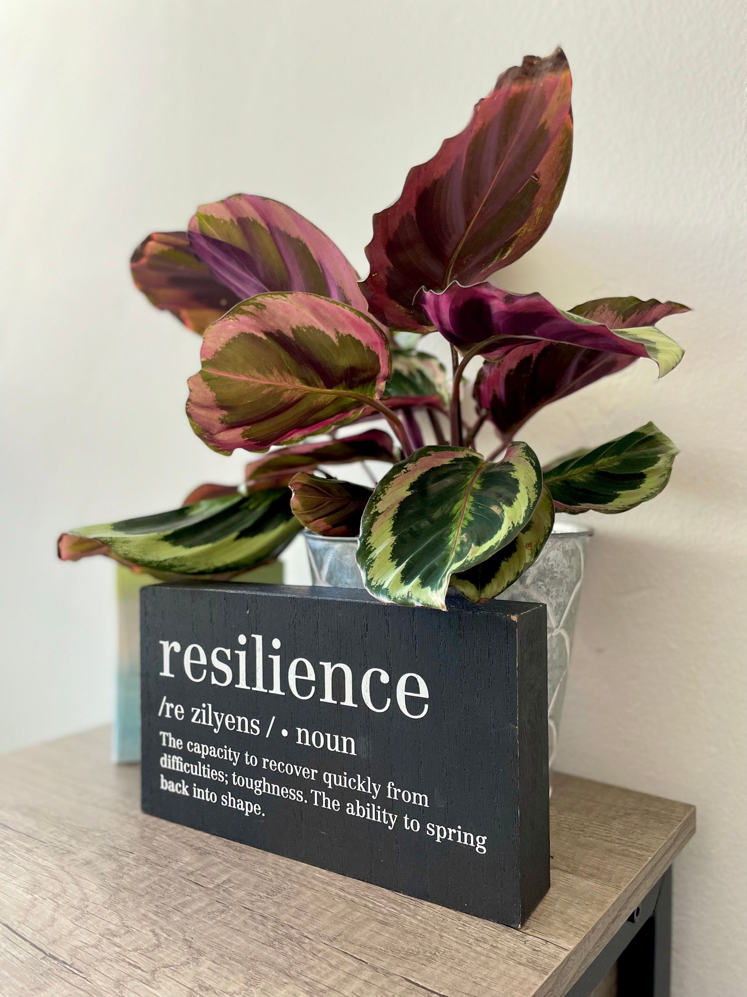 Jessica Bartholomew, Pre-Licensed Professional, Pacific Grove, CA ...