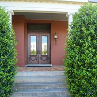 Jess Mattson, Counselor, Nashville, TN, 37203 | Psychology Today