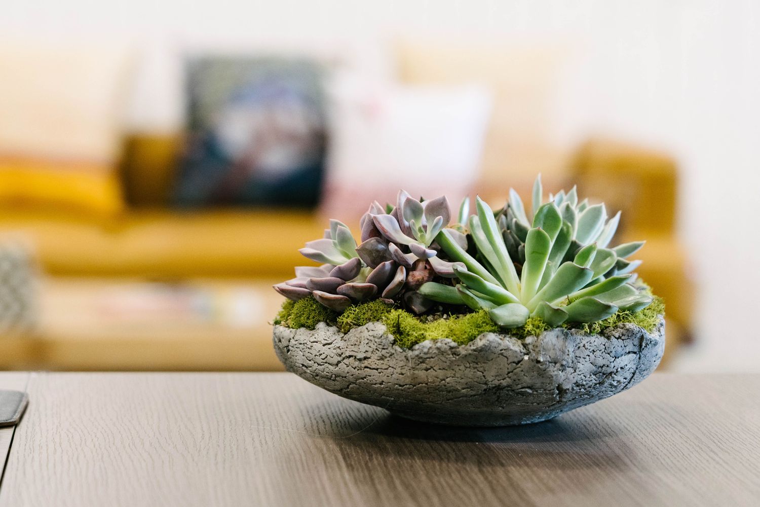 Dr. Jon Deam, MD, Psychiatrist, San Diego, CA, 92103 | Psychology Today