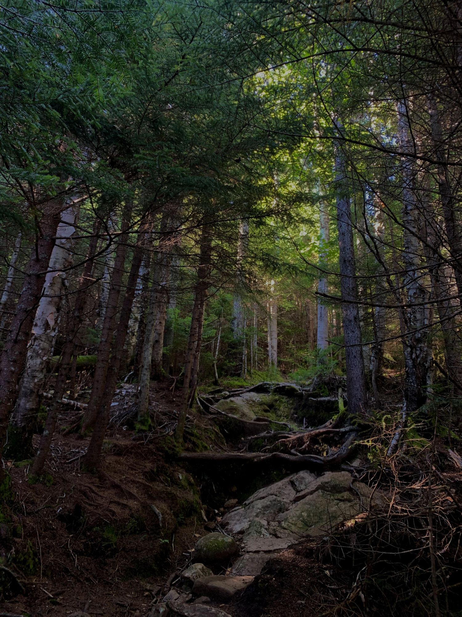 Jen Collins, Clinical Social Work/Therapist, Norway, ME, 04268 ...