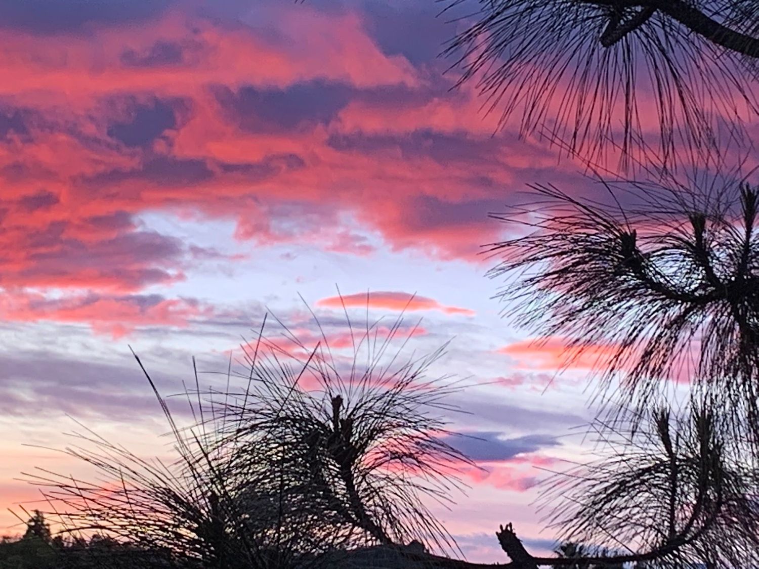 Audrey Tice, Pre-Licensed Professional, Seattle, WA, 98122 | Psychology ...