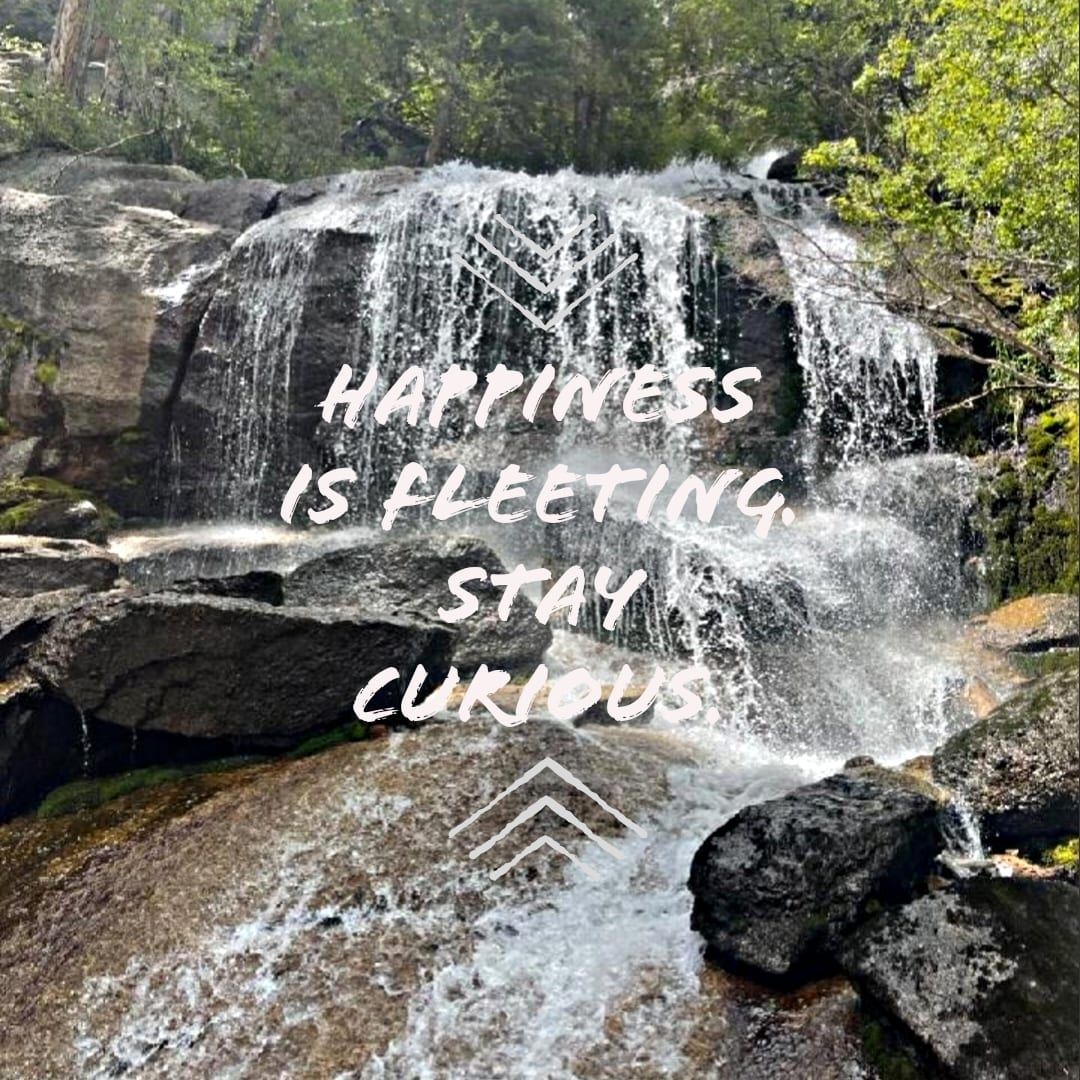 Mind Mechanic Rapid Resolution Therapy, Clinical Social Work/Therapist ...