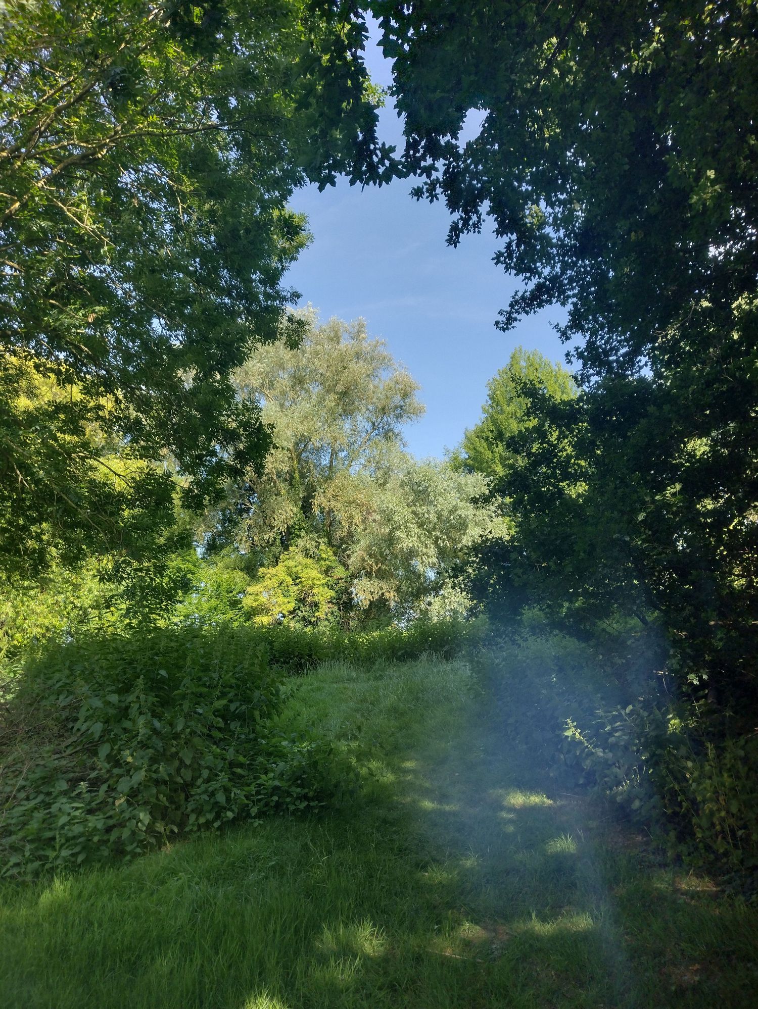 Alison Thorpe, Counsellor, Hove, BN3 | Psychology Today