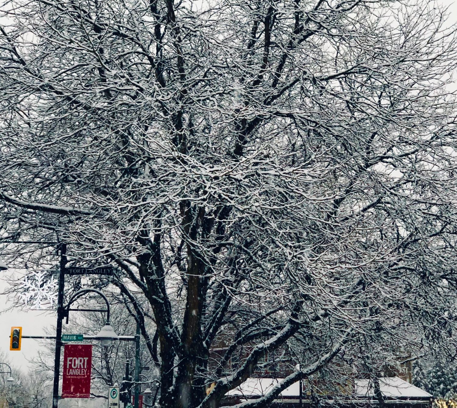 Hayley Ecotalk-Outdoor Counselling, Counsellor, Langley, BC, V1M ...