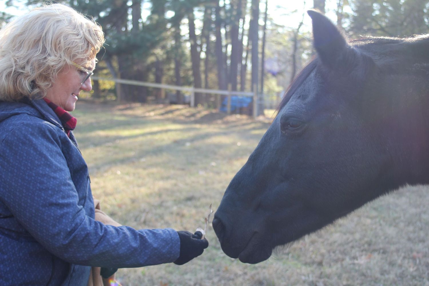 Emma Shoaf, Licensed Professional Counselor, Jackson, TN, 38305 ...