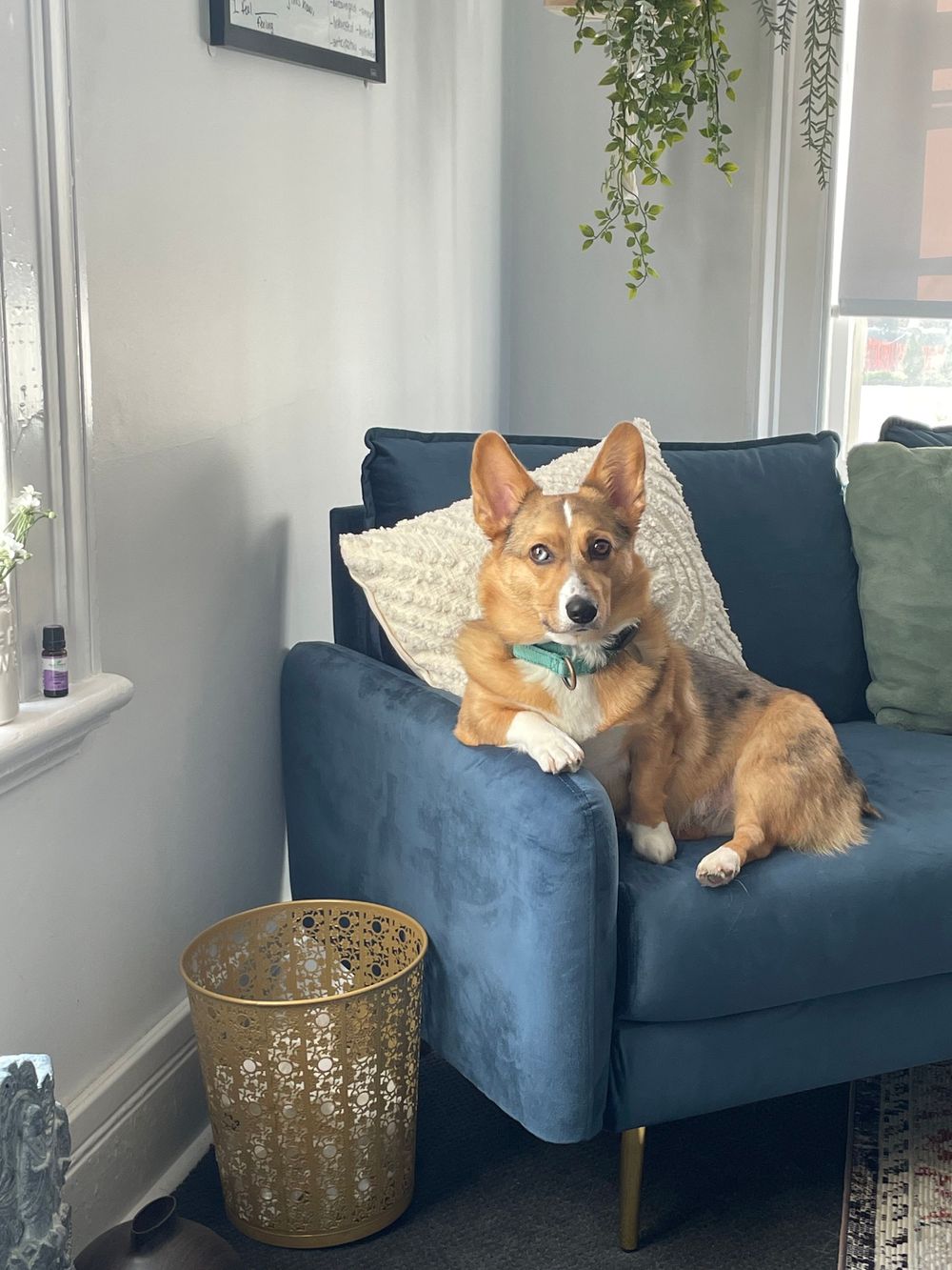 Nicole Collins, Clinical Social Work/Therapist, Norwalk, CT, 06851 ...